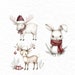 Christmas Animal Clipart, Polar Bear Clipart, Penguin Clipart ...