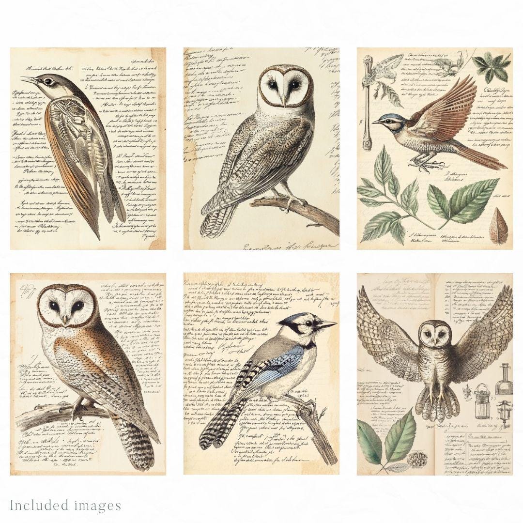 20 Bird Junk Journal Pages, Vintage Ephemera, Bird Journal, Paper ...