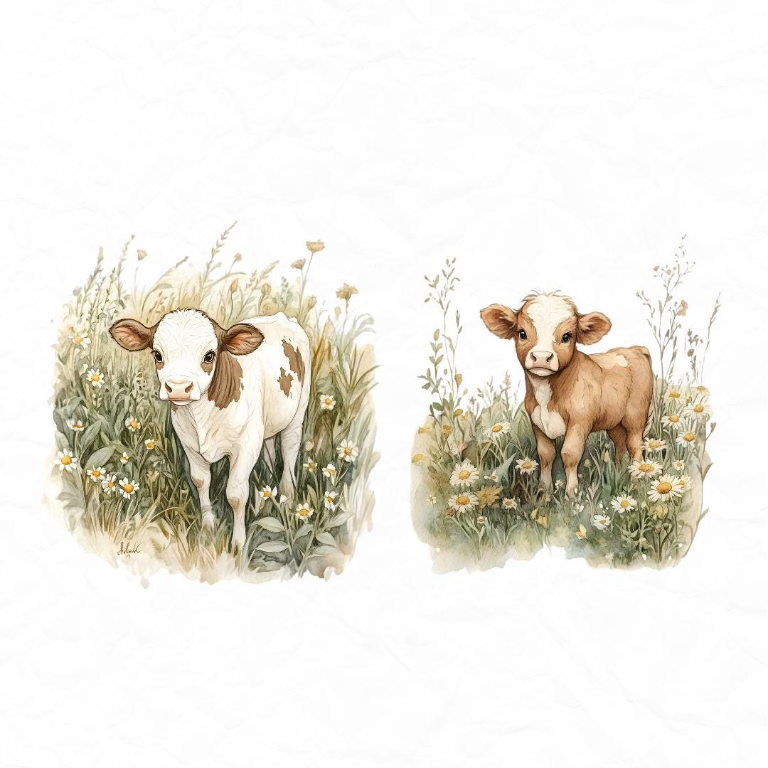 Spring Cute Cows Clipart, Cute Calves Clipart, Highland Cow PNG, Spring ...