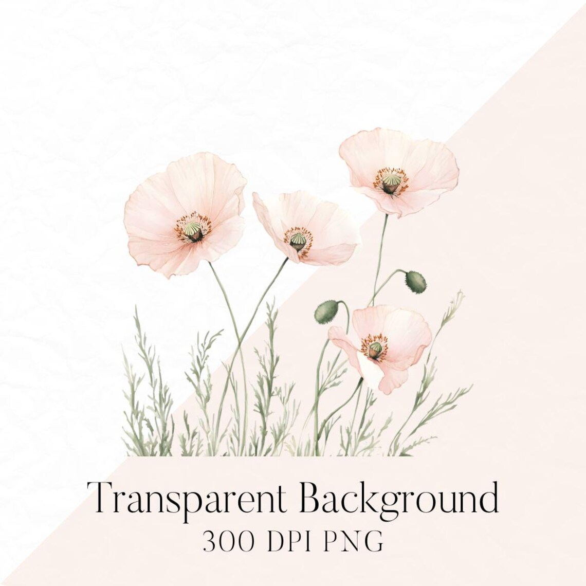 Pale Pink Poppies Clipart, Watercolor Pink Poppies, Pale Pink Flower ...