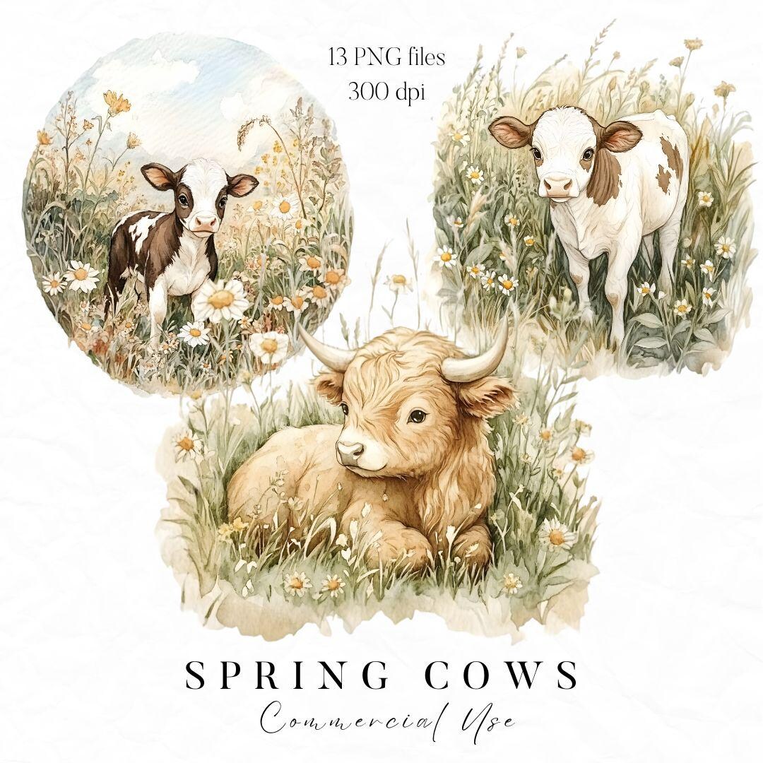 Spring Cute Cows Clipart, Cute Calves Clipart, Highland Cow PNG, Spring ...