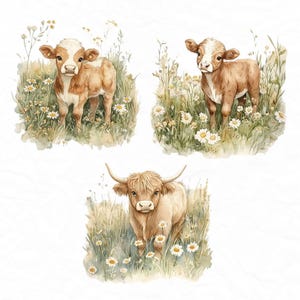 Spring Cute Cows Clipart, Cute Calves Clipart, Highland Cow PNG, Spring ...