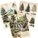 Vintage Forest Field Journal Pages, Digital Junk Journal Kit, Botanical ...
