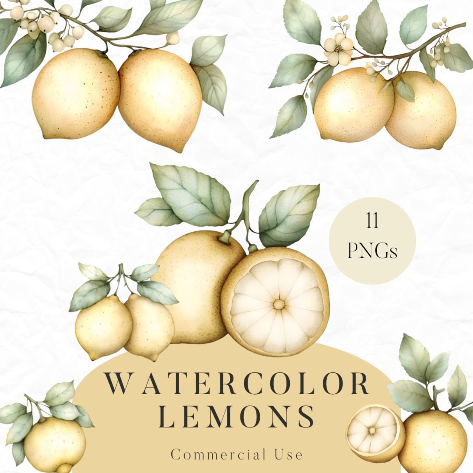 Lemon Watercolor Clipart, Lemon PNG, Watercolor Floral, Watercolor ...