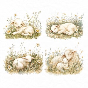 Spring Lamb Clipart, Cute Lamb PNG, Spring Animals Clipart Pack, Farm ...