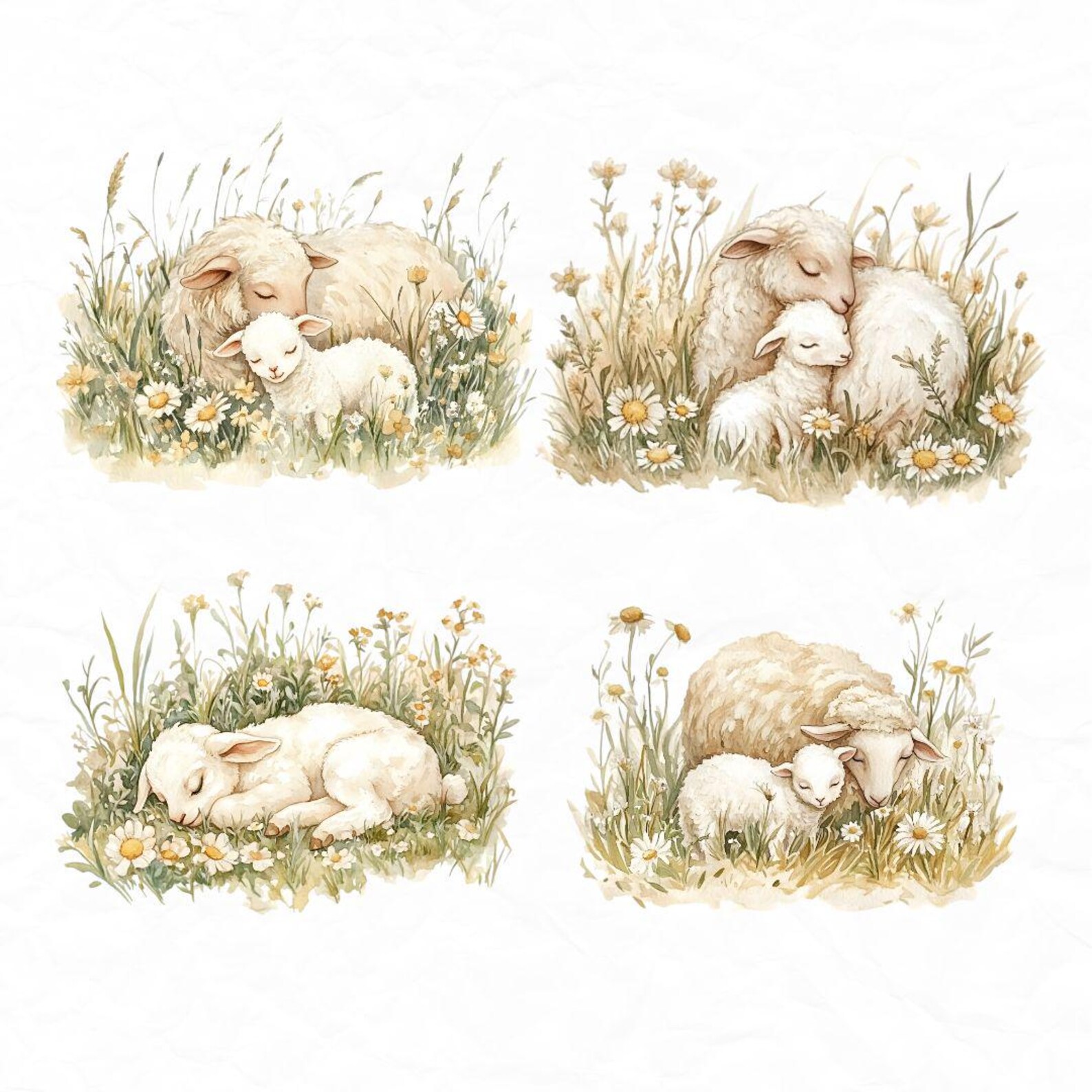 Spring Lamb Clipart, Cute Lamb PNG, Spring Animals Clipart Pack, Farm ...