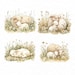 Spring Lamb Clipart, Cute Lamb PNG, Spring Animals Clipart Pack, Farm ...