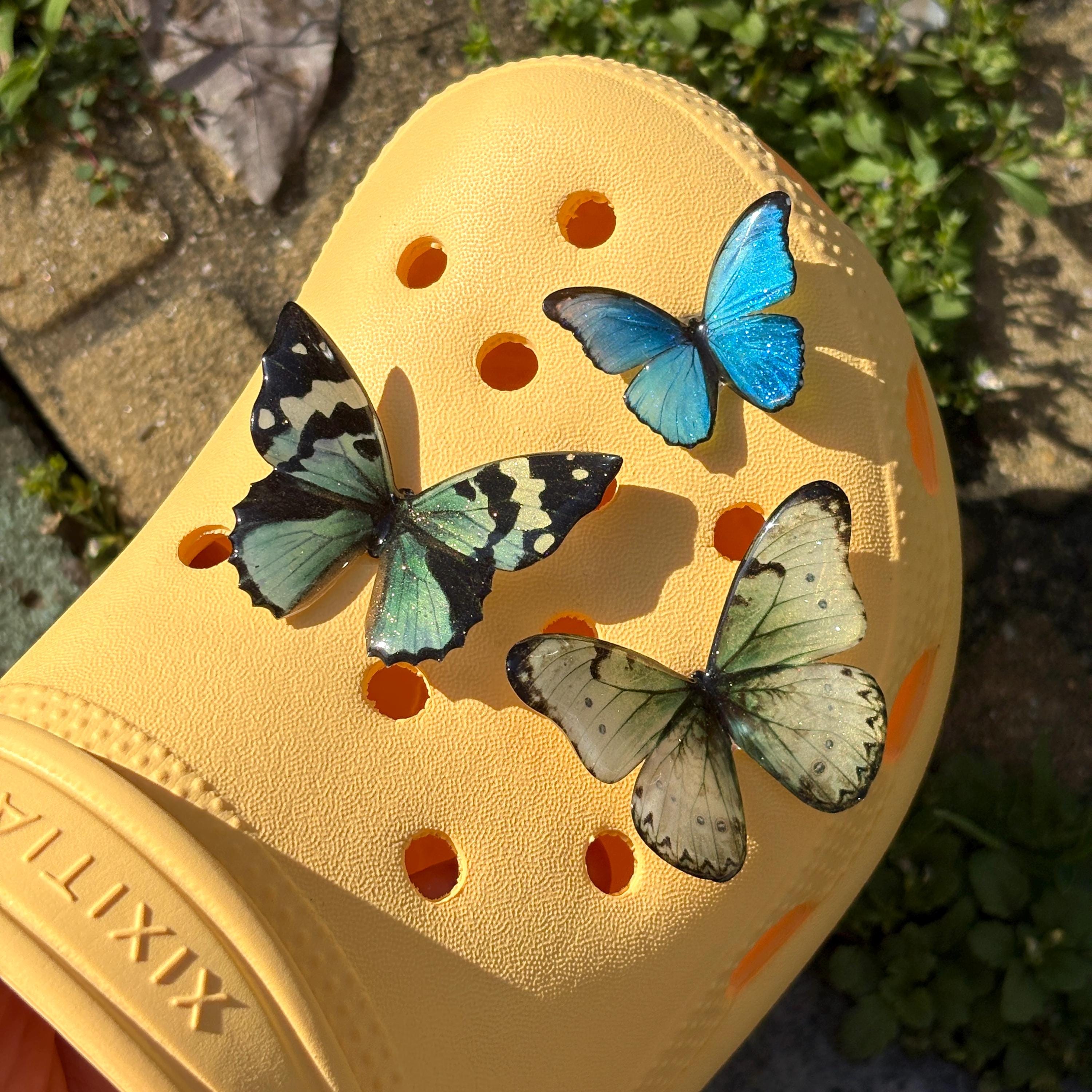 Butterfly Shoe Charm, 3D Realistic Wings Shoe Clips, Handmade Resin ...