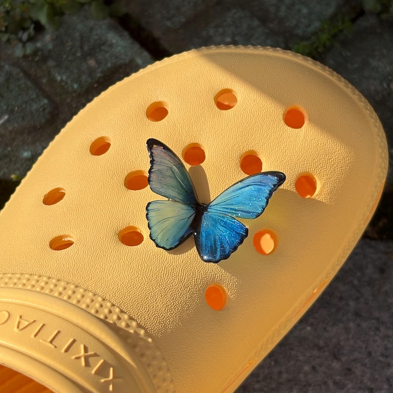Butterfly Shoe Charm, 3D Realistic Wings Shoe Clips, Handmade Resin ...