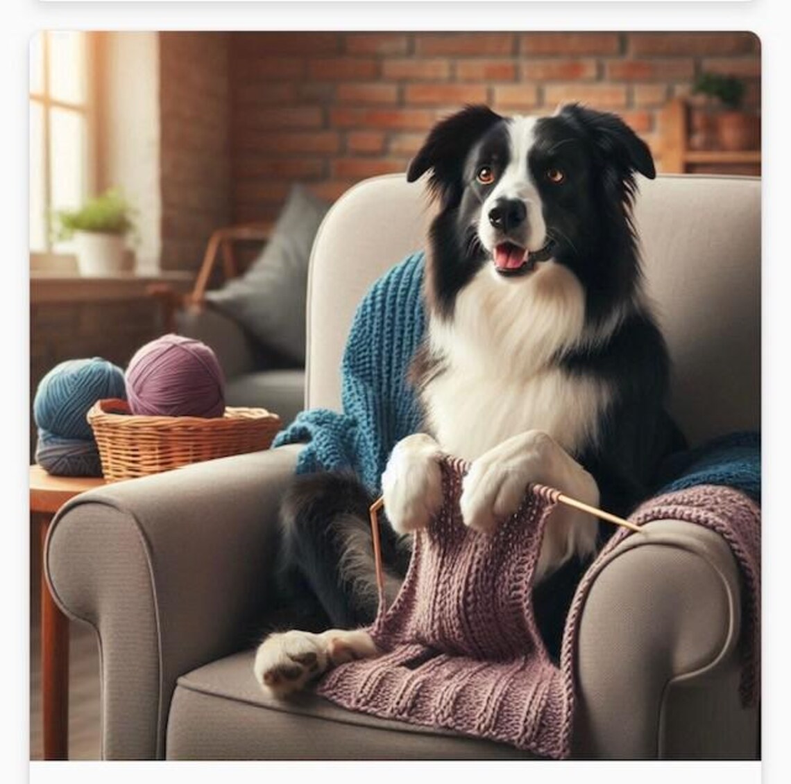 The Cozy Knitter! Border Collie Sitting on a Chair Knitting * PRINT ...