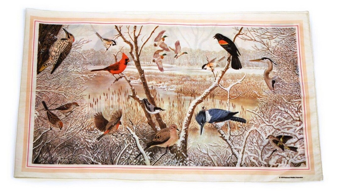 Vintage 1979 National Wildlife Federation Bird Print Long Scarf - 12" X ...