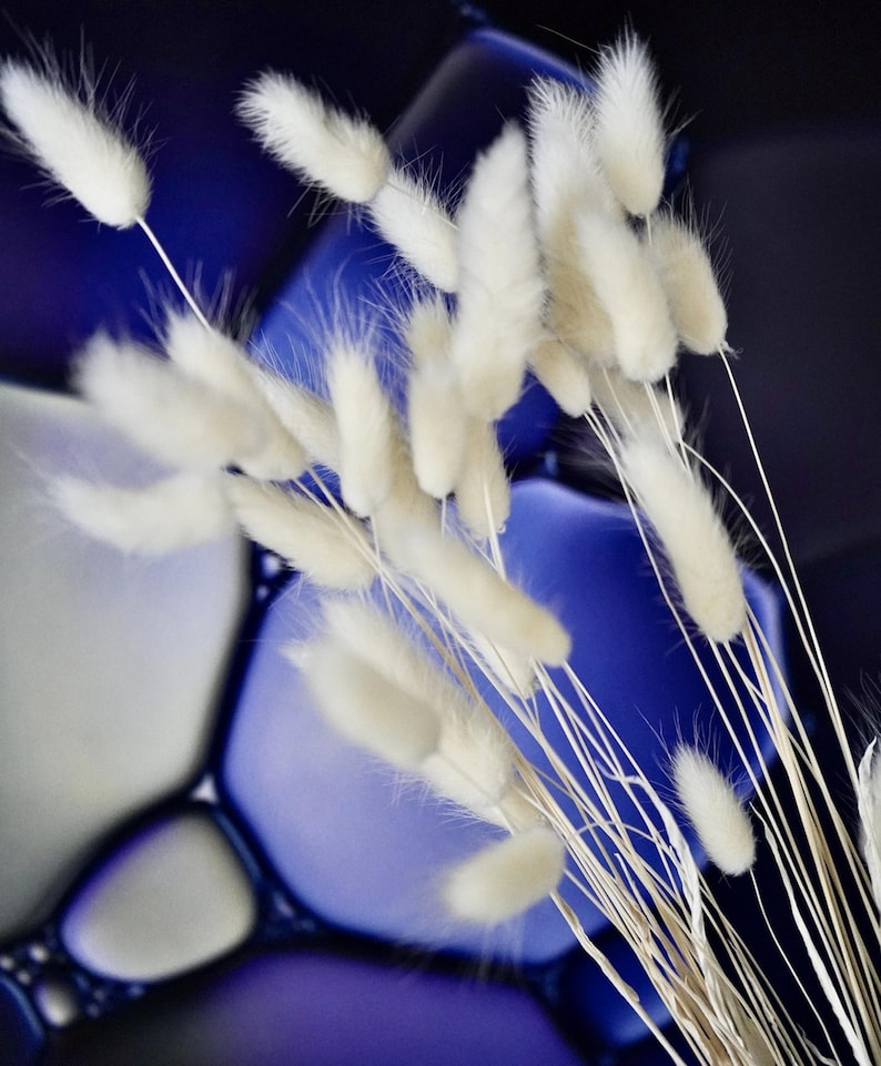 Dried Bunny Tail Grass Bouquet – Boho Farmhouse Vase Decor – Natural ...