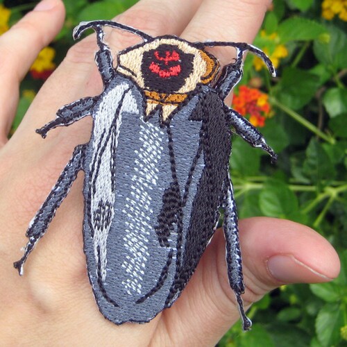 Rare Death's Head Cockroach Roach Blaberus Craniifer Steam | Etsy