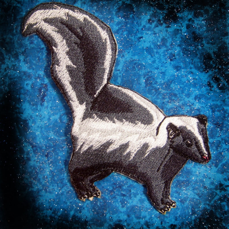 Skunk Pin - Etsy