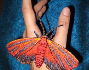 Giant Leopard Moth Eyed Tiger Moth Hypercompe scribonia Iron