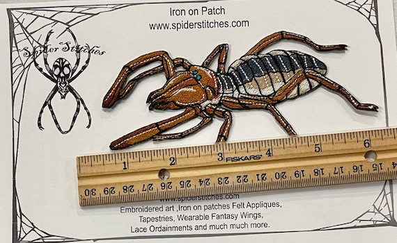 Camel Spider Fangs