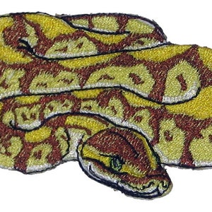 Awesome Royal Pastel Ball Python Snake python Regius Serpent Pet Iron ...