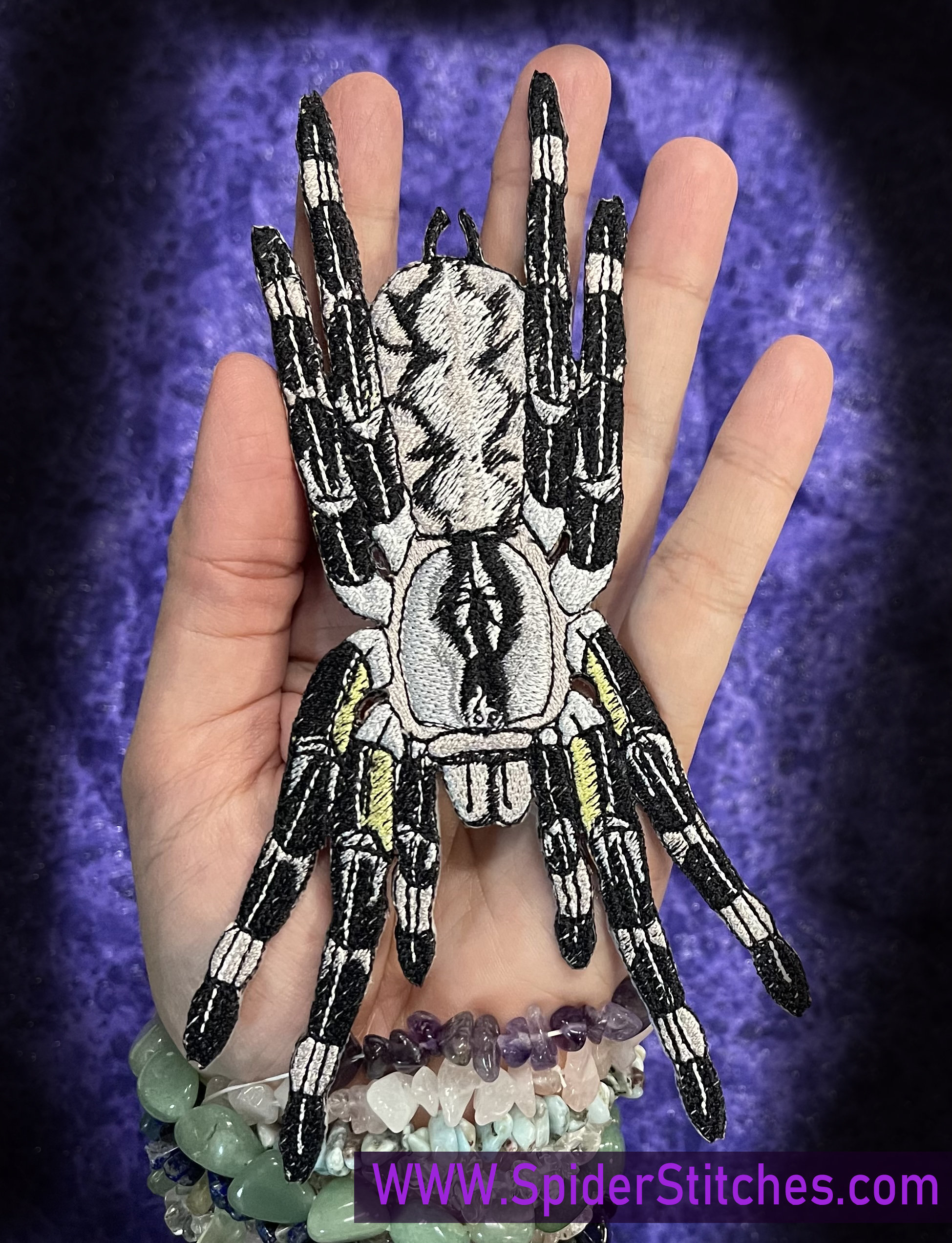 Ghost Ornamental Tarantula