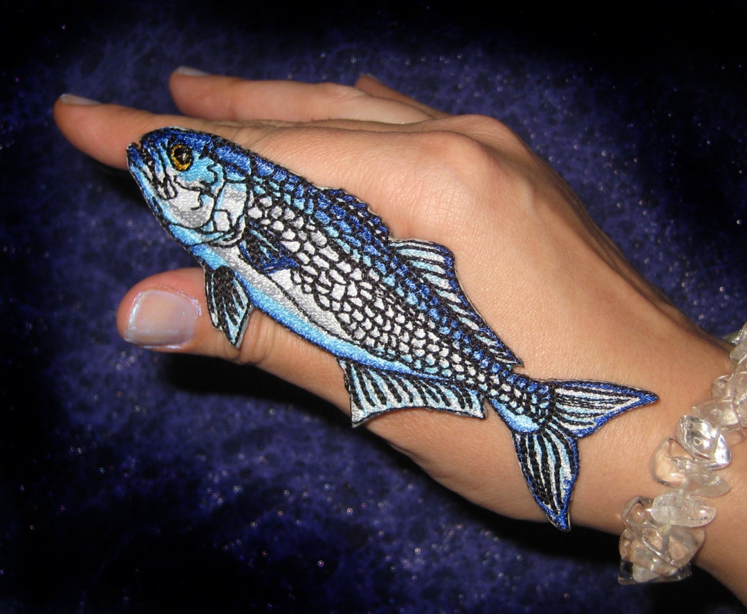 Bluefish Blue Fish Tailor Shad Elf Fish Pomatomus Saltatrix Iron on ...