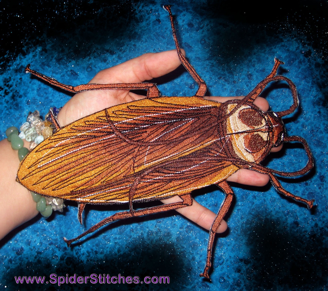 HUGE Creepy Cool American Cockroach Roach Iron on Patch - Etsy