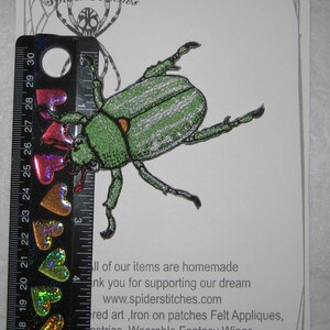 Glorious Jeweled Scarab Beetle Chrysina "plusiotis" Gloriosa Steam Punk ...
