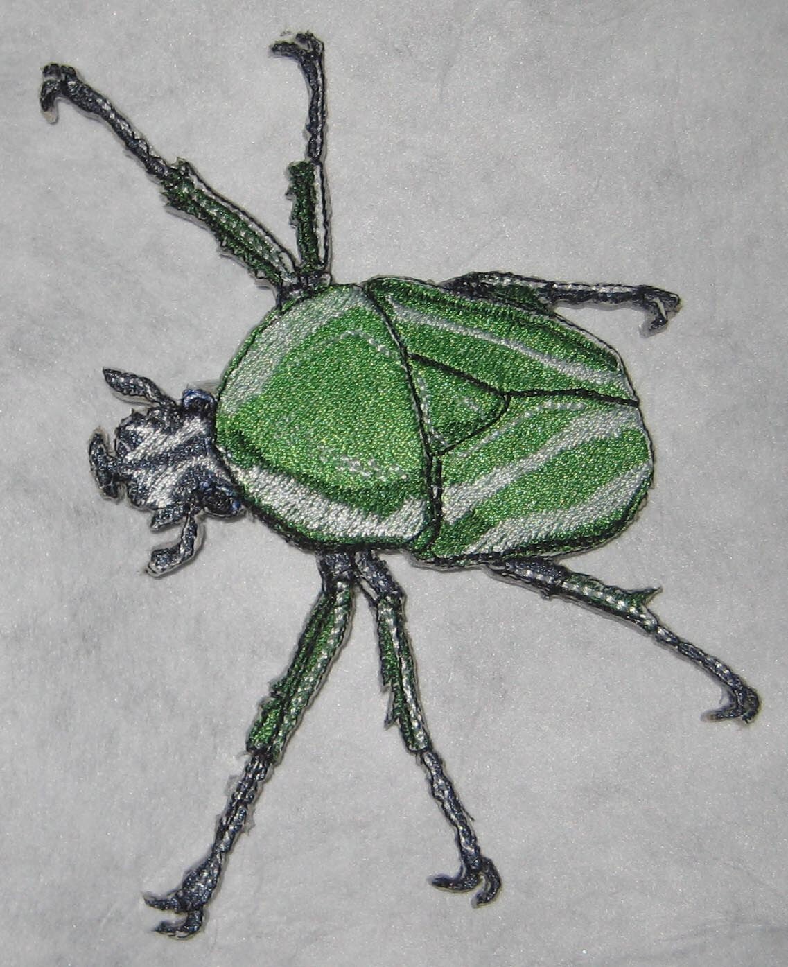 Green African Flower Scarab Beetle Dicronorhina - Etsy