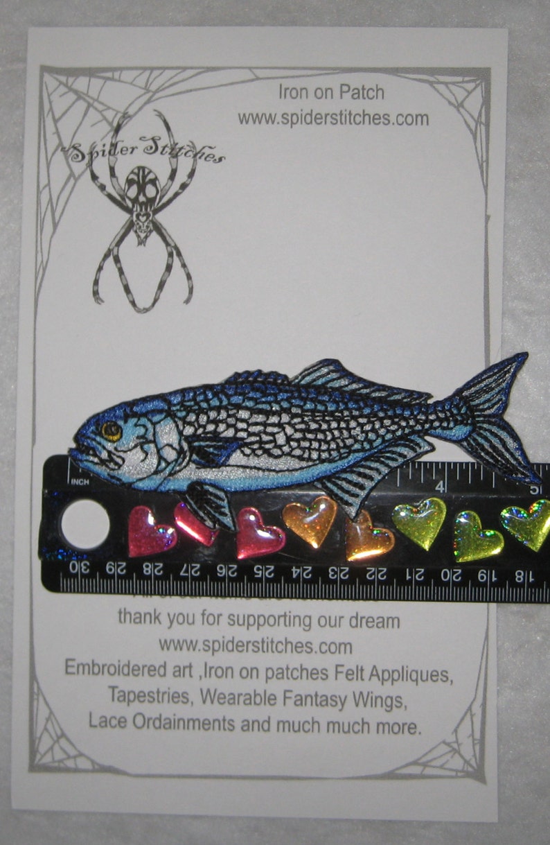 Bluefish Blue Fish Tailor Shad Elf Fish Pomatomus Saltatrix Iron on ...