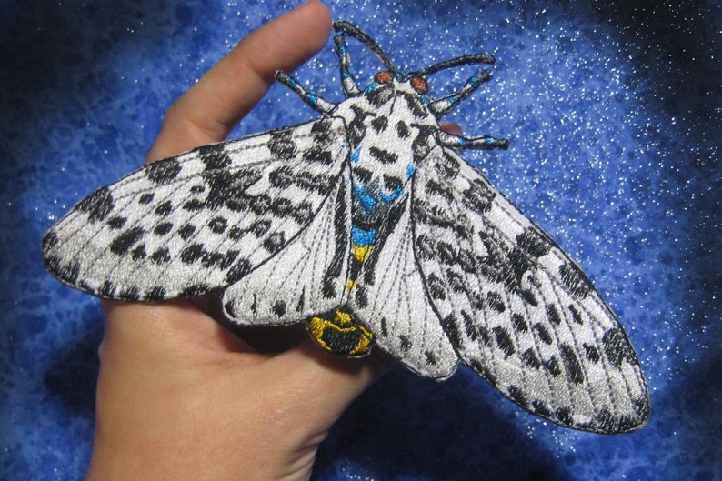Giant Leopard Moth Eyed Tiger Moth Hypercompe Scribonia Iron - Etsy