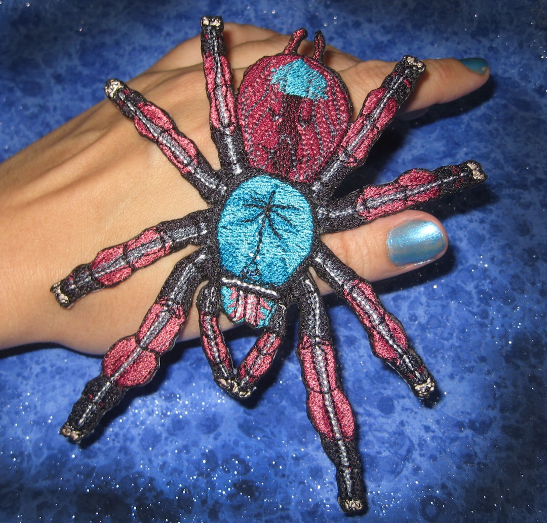 Martinique Pink Toe Tree Spider Tarantula Caribena Avicularia ...