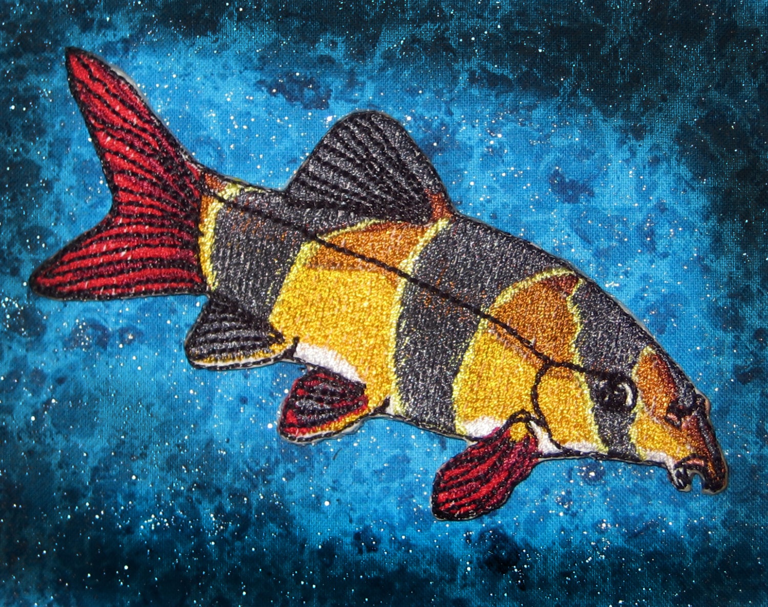 Clown Loach Tropical Tiger Botia Chromobotia macracanthus | Etsy