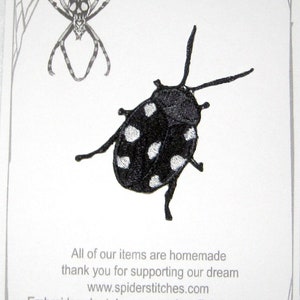 Life Sized Indian Domino Cockroach Roach Iron on Patch Therea ...