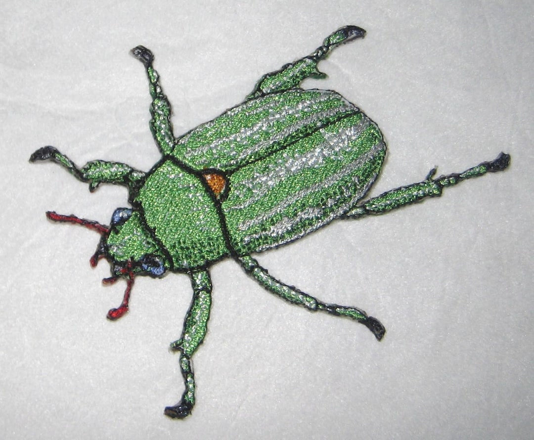Glorious Jeweled Scarab Beetle Chrysina "plusiotis" Gloriosa Steam Punk ...
