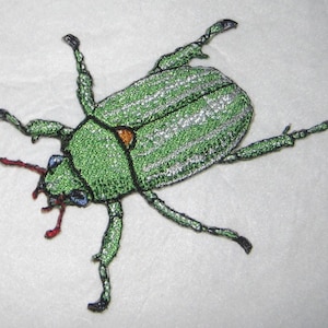 Glorious Jeweled Scarab Beetle Chrysina "plusiotis" Gloriosa Steam Punk ...