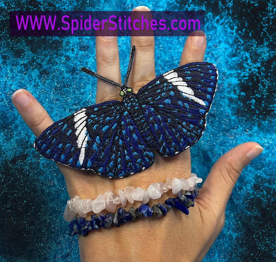 Starry Night Cracker Hamadryas Laodamia Butterfly Insect Iron on Patch ...