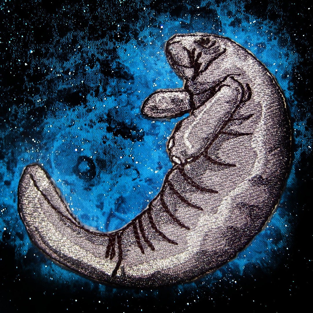 Adorable Manatee Iron on Patch - Etsy