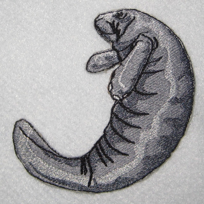 Adorable Manatee Iron on Patch - Etsy