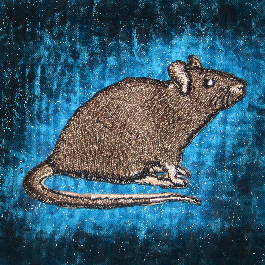 Agouti Rat Steam Punk Iron on Patch - Etsy