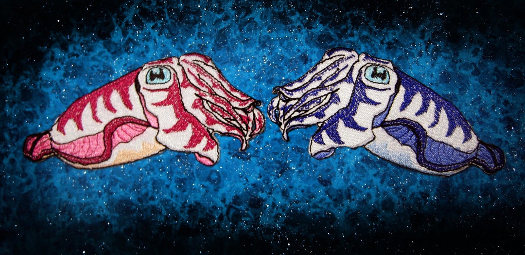 Cuttlefish Pair Iron on Patch - Etsy