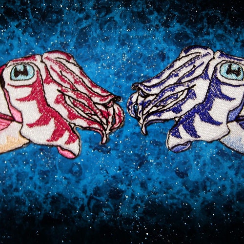 Natural Cuttlefish Iron on Patch - Etsy