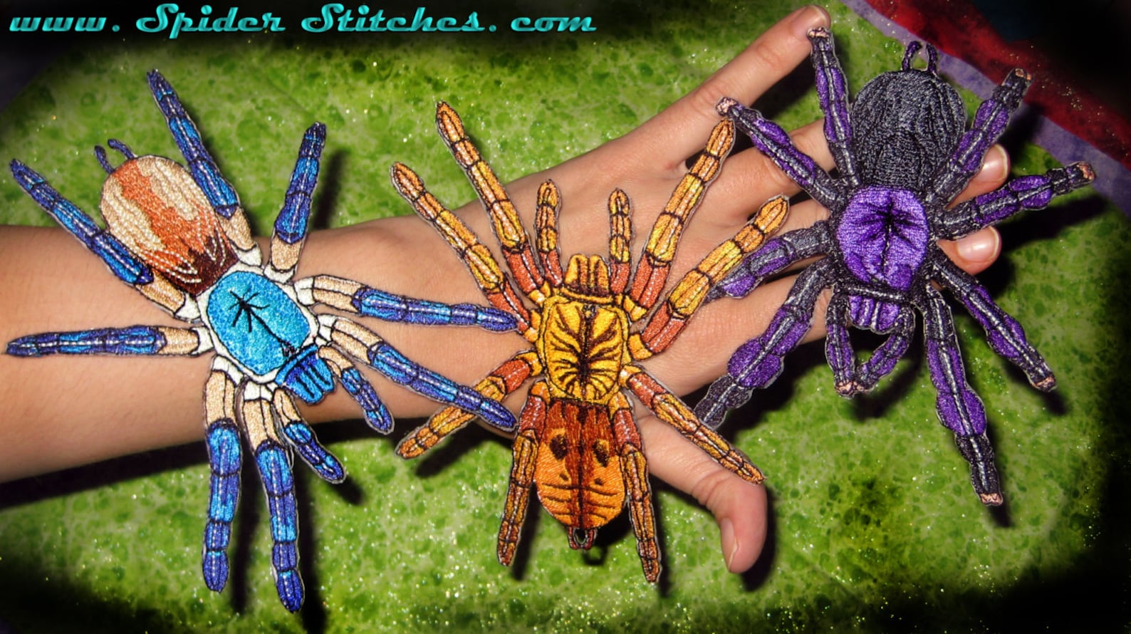 AWESOME OBT Pterinochilus Murinus Orange Baboon Tarantula Spider Iron ...