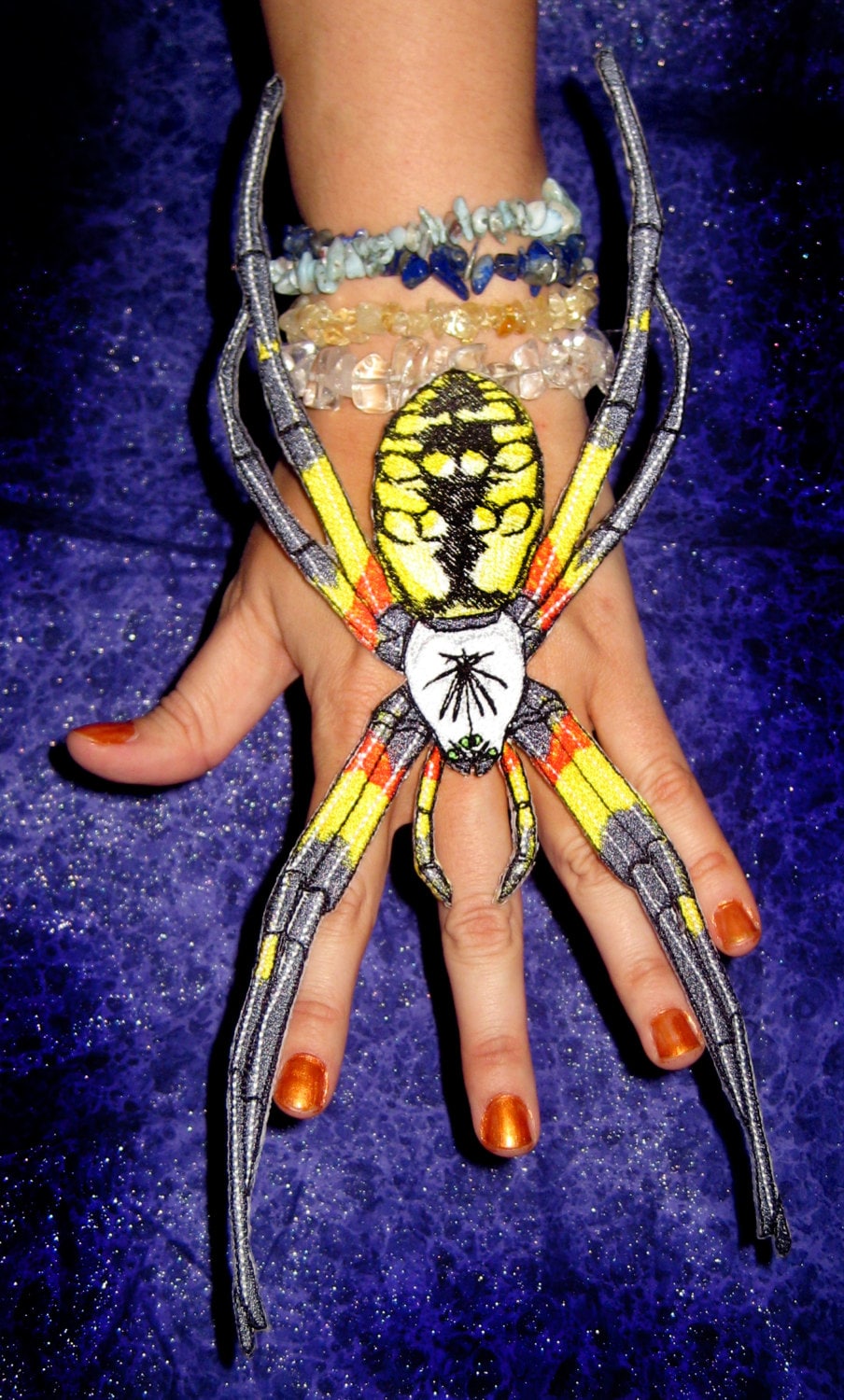Huge Golden Writing Orb Weaver Spider Argiope Aurantia Gothic Yellow ...