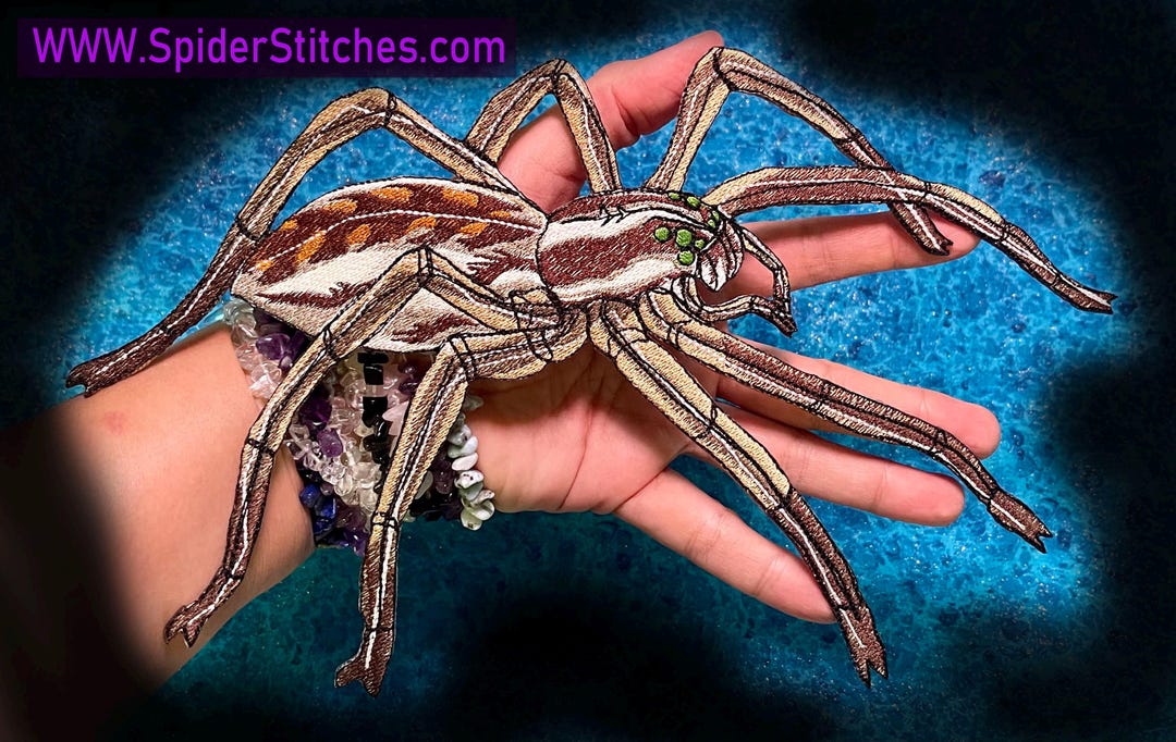 Huge Texas Sized Rabid Wolf Spider Iron on Patch Rabidosa Rabida ...