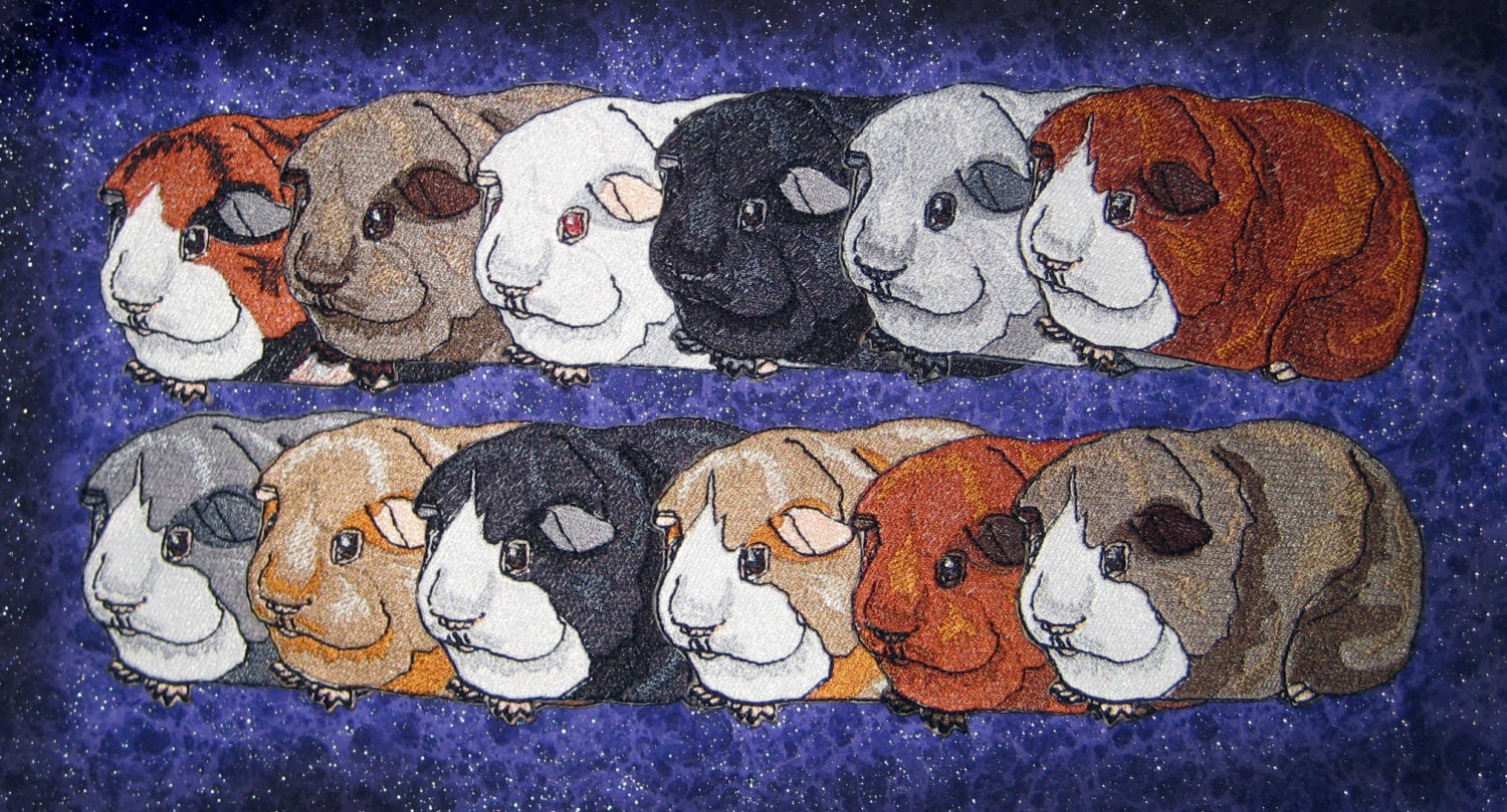 Cute Guinea Pig Iron on Patch Lots of Color Choices - Etsy
