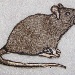 Agouti Rat Steam Punk Iron on Patch - Etsy