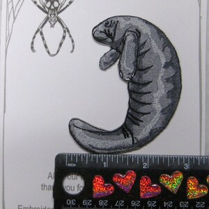 Adorable Manatee Iron on Patch - Etsy