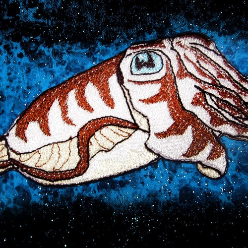 Natural Nautilus Color Cuttlefish Iron on Patch - Etsy