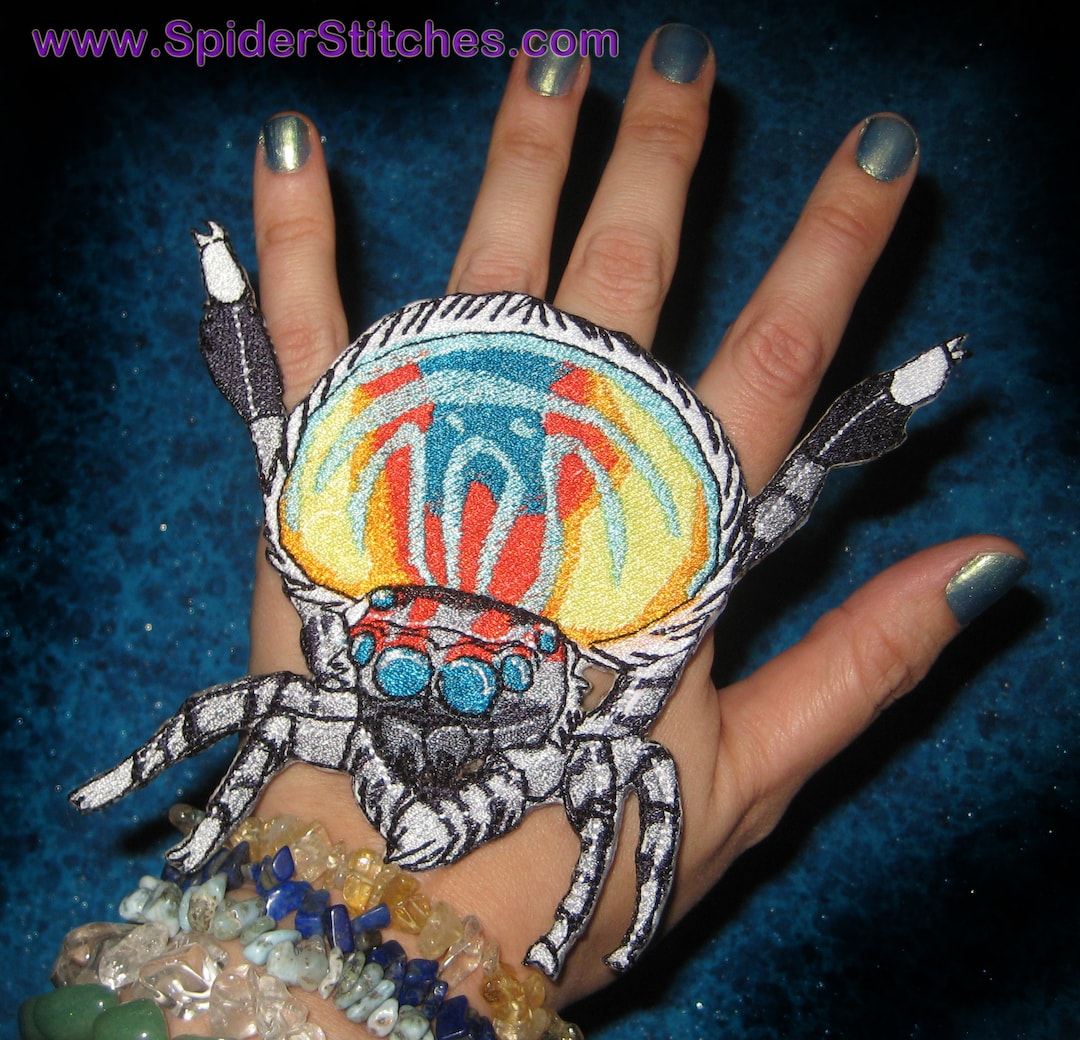 Dancing Peacock Spider Maratus Volans Iron on Patch - Etsy