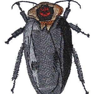 Rare Death's Head Cockroach Roach Blaberus Craniifer Steam Punk Iron on ...