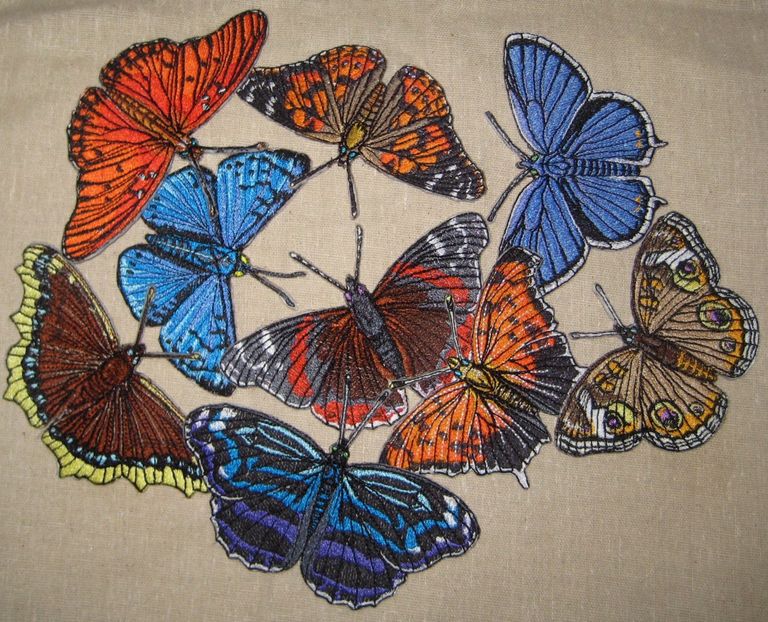 Mexican Bluewing Butterfly Myscelia Ethus Iron on or Sew on Patch - Etsy