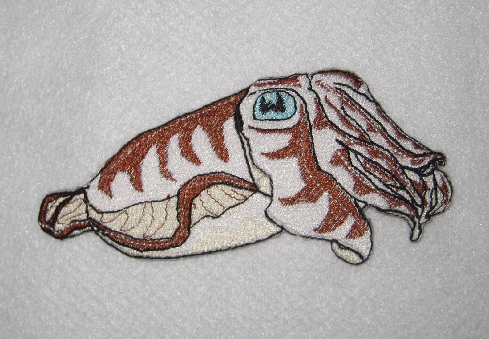 Natural Nautilus Color Cuttlefish Iron on Patch - Etsy